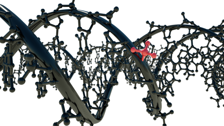 Understanding the Concept of Gravity and Its Significance in Our Lives – EULIS